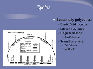Reproduction & Breeding | PPT