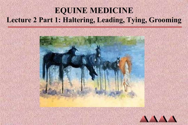 Haltering, Leading, Tying, Grooming | PPT