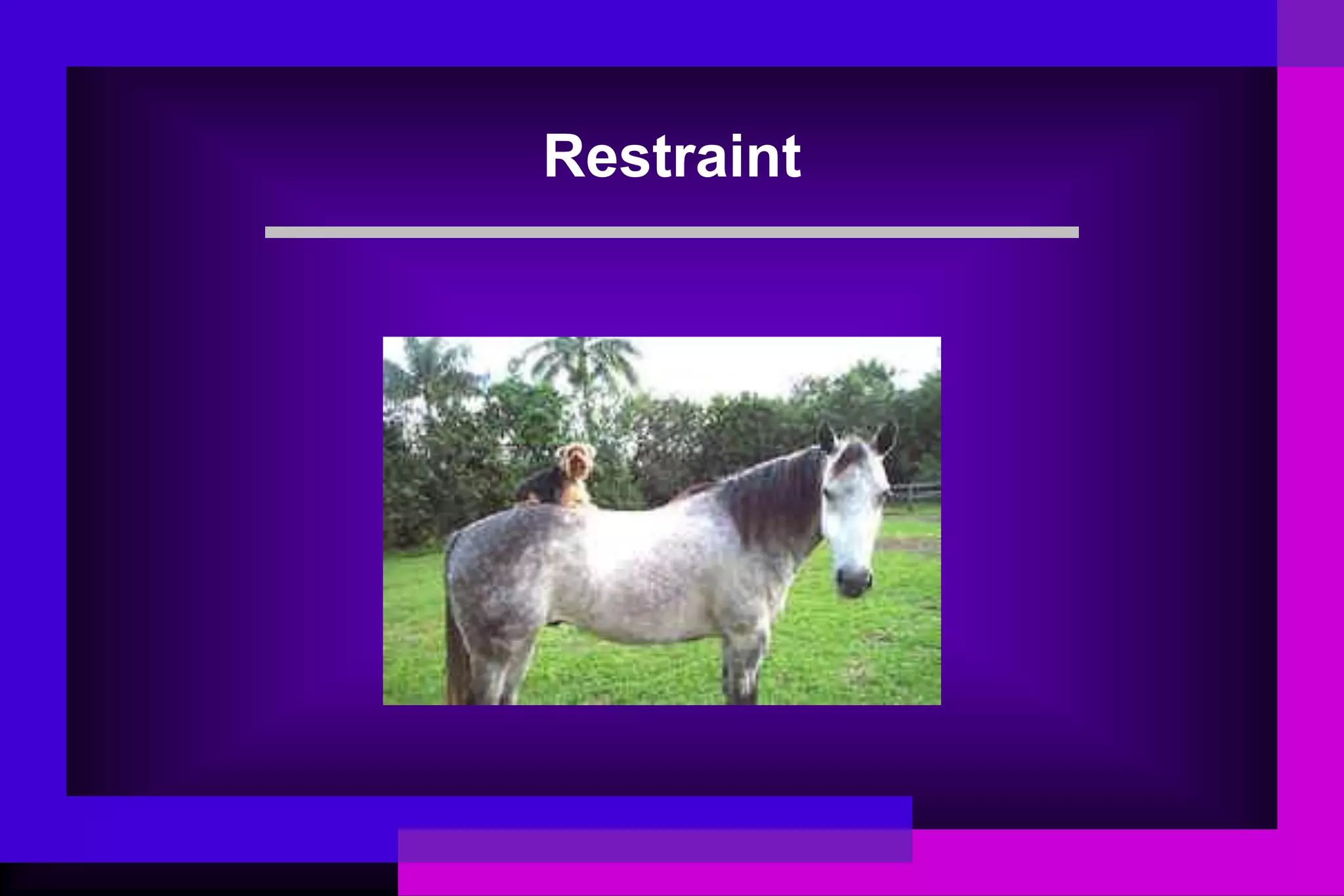 Proper Restraint Techniques | PPSX