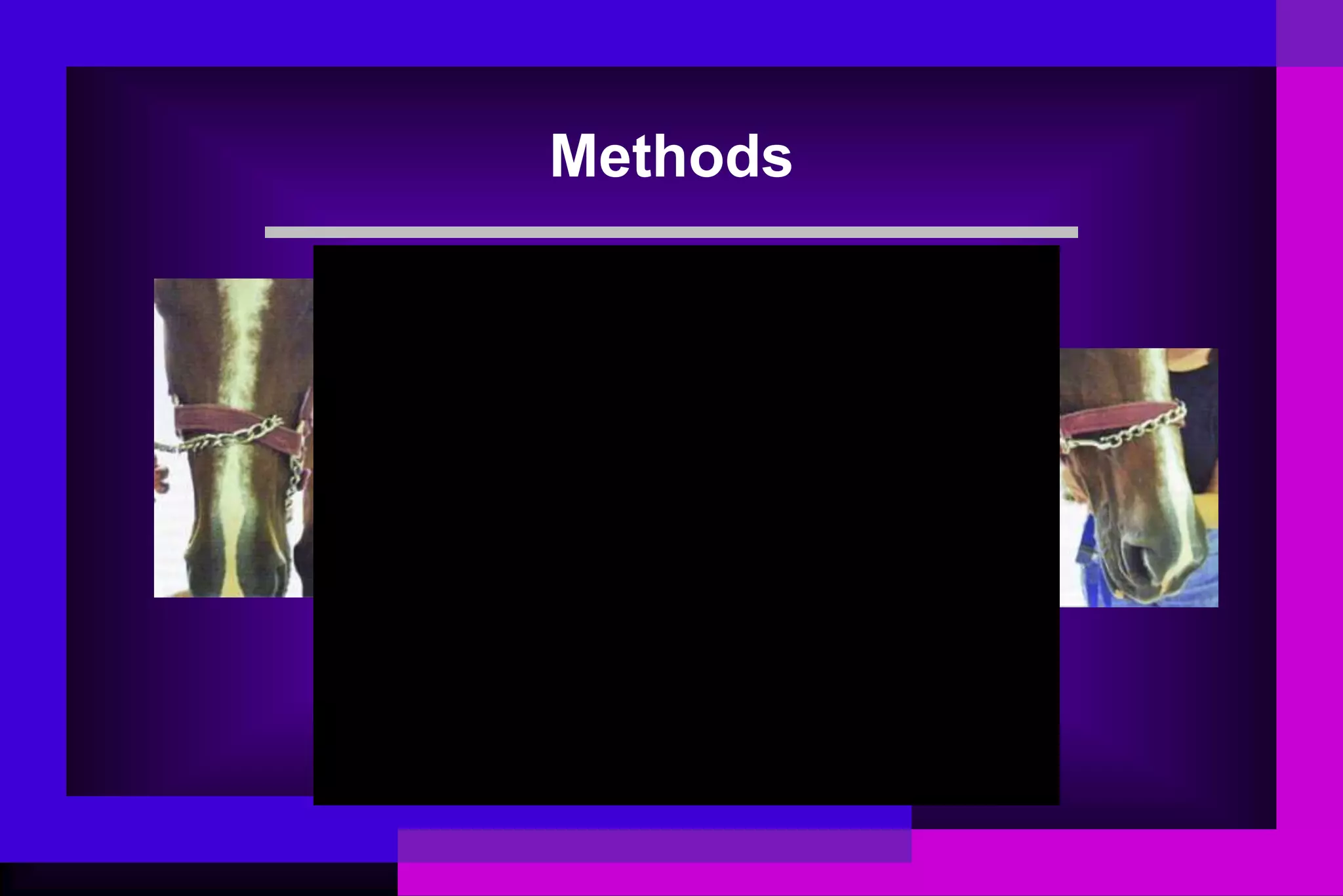 Proper Restraint Techniques | PPSX