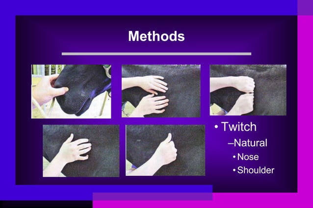Proper Restraint Techniques | PPSX