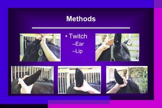 Proper Restraint Techniques | PPSX