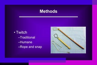 Proper Restraint Techniques | PPSX