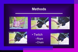 Proper Restraint Techniques | PPSX