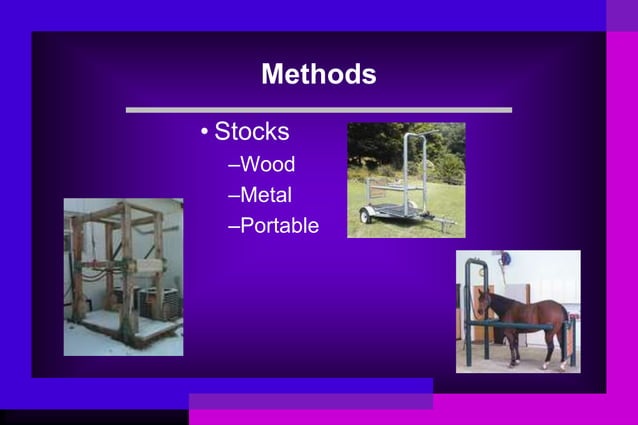 Proper Restraint Techniques | PPSX