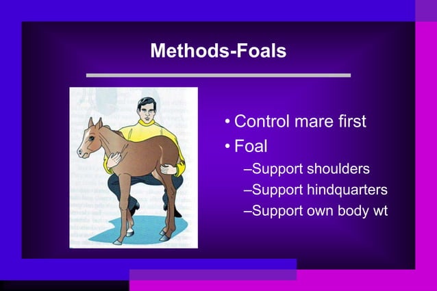 Proper Restraint Techniques | PPSX