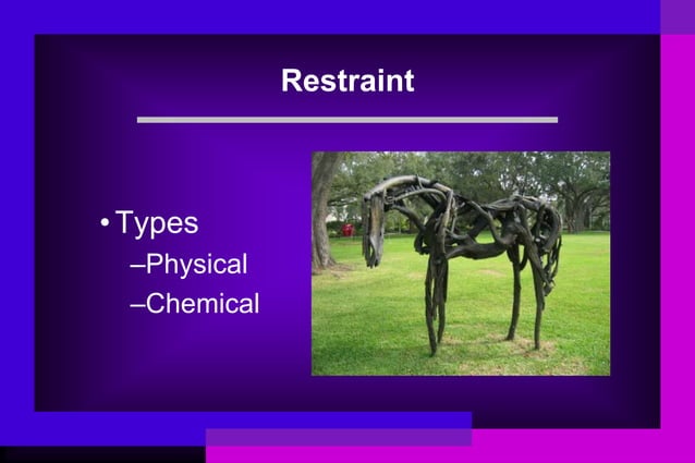 Proper Restraint Techniques | PPSX