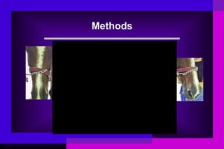 Proper Restraint Techniques | PPSX