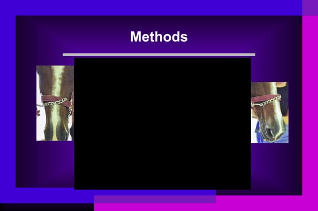 Proper Restraint Techniques | PPSX