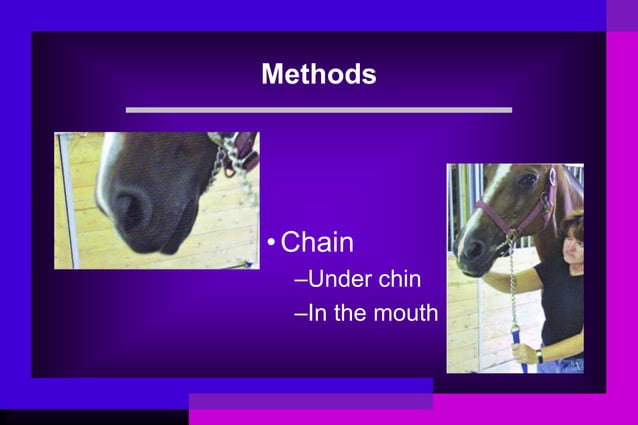 Proper Restraint Techniques | PPSX