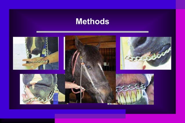 Proper Restraint Techniques | PPSX