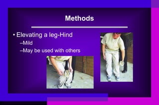 Proper Restraint Techniques | PPSX