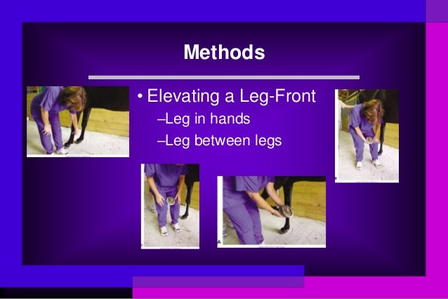 Proper Restraint Techniques