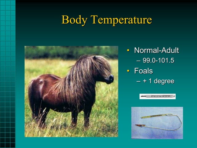 Normal Resting Values-Evaluation Techniques | PPT