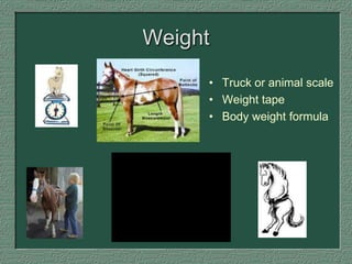 Determining Age, Height, and Weight | PPSX