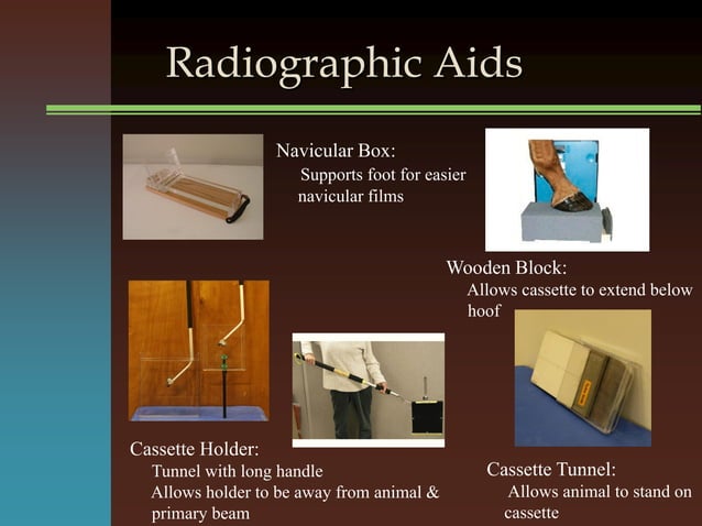 Front & Hind Limb Radiology | PDF