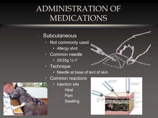 Nursing Skills | PPSX