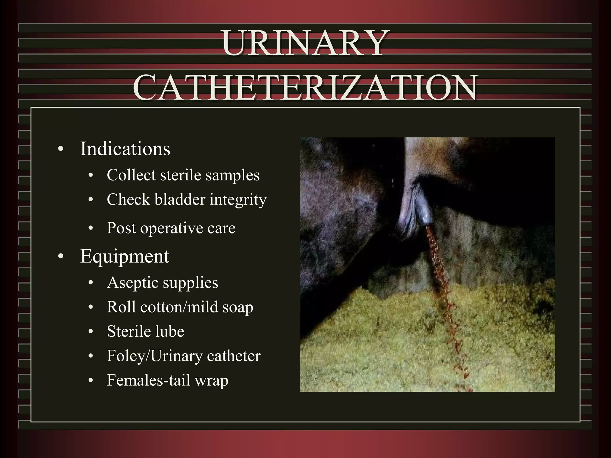 Technical Procedures | PPSX