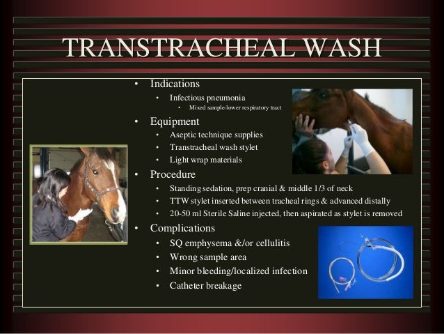 Technical Procedures