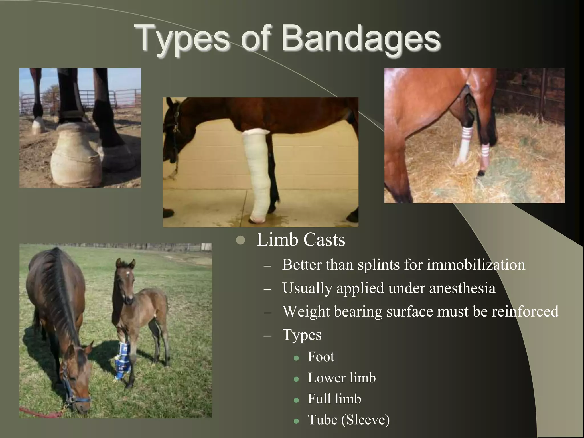 External Coaptation | PPSX