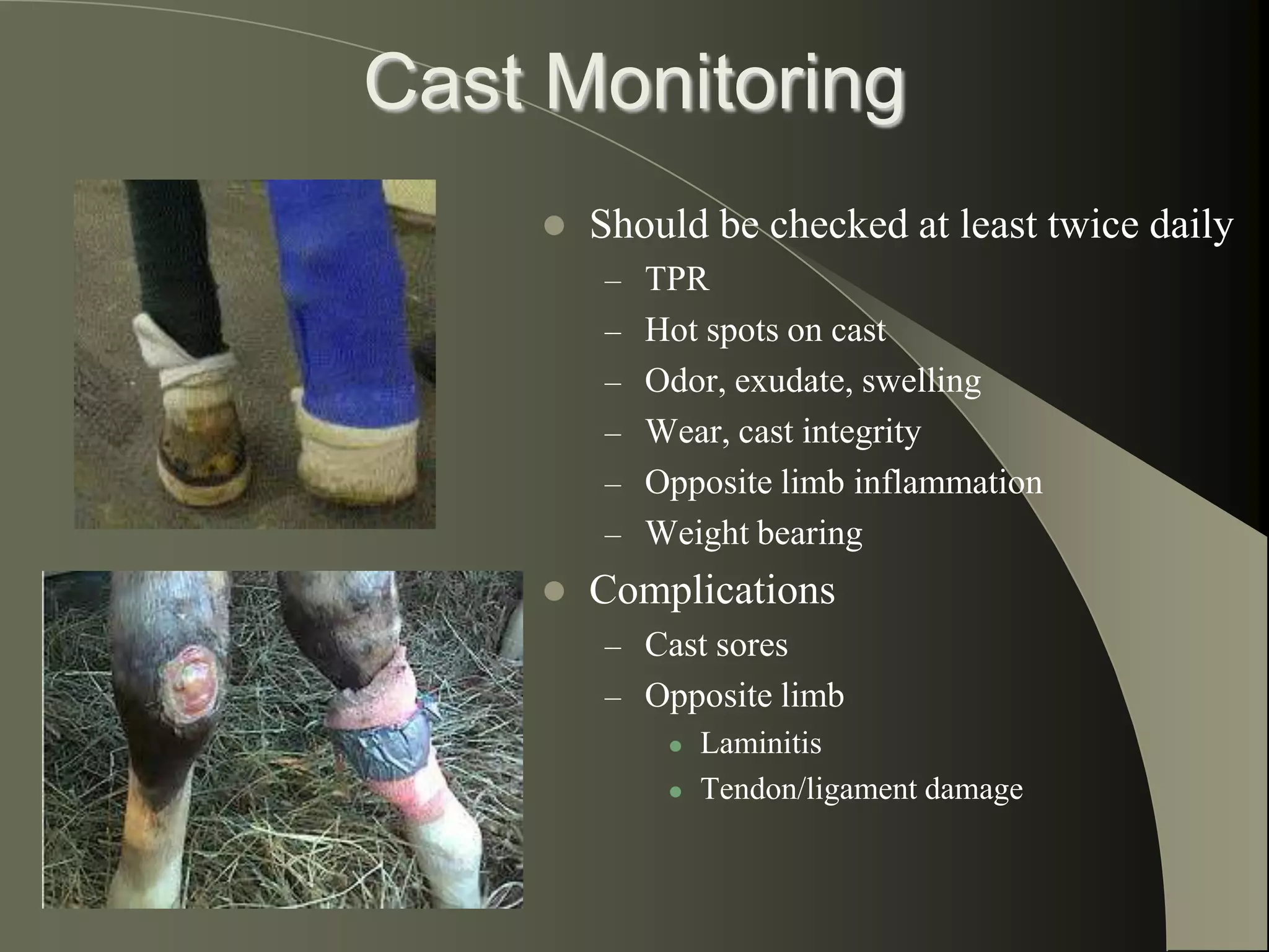 External Coaptation | PPSX