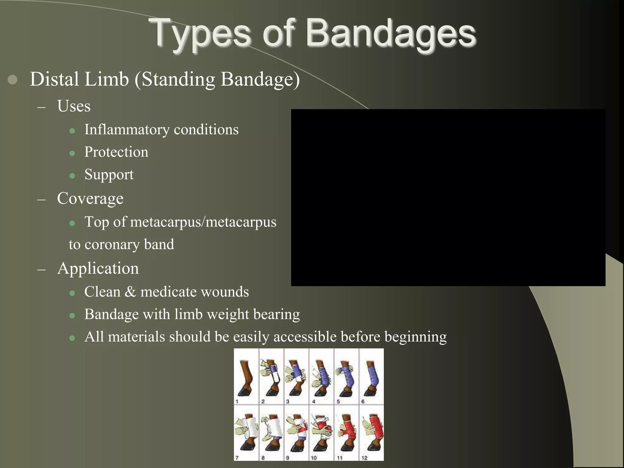 External Coaptation | PPSX