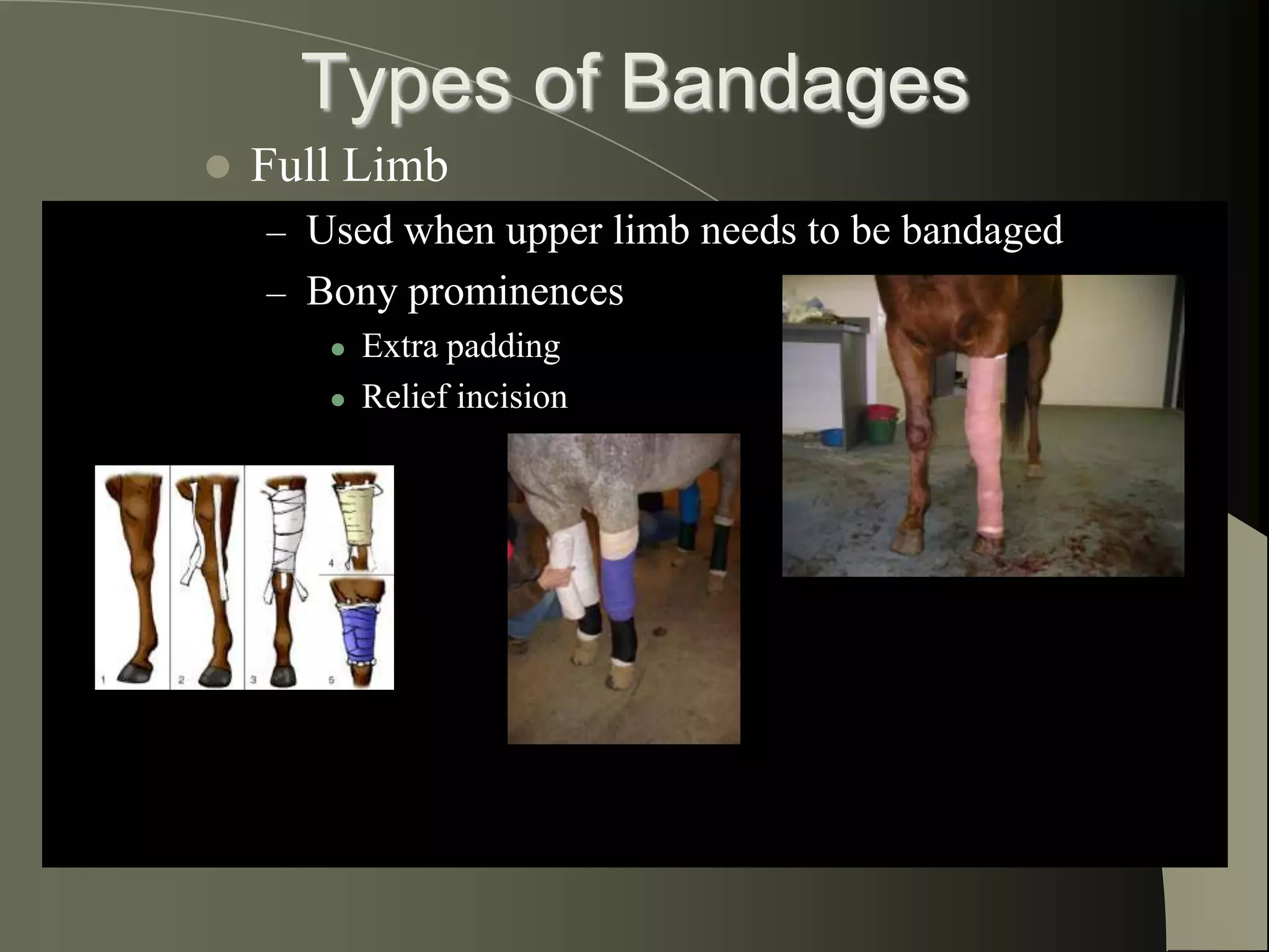 External Coaptation | PPSX