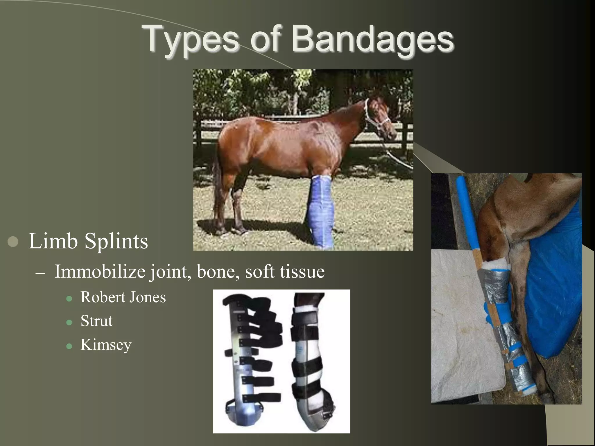 External Coaptation | PPSX