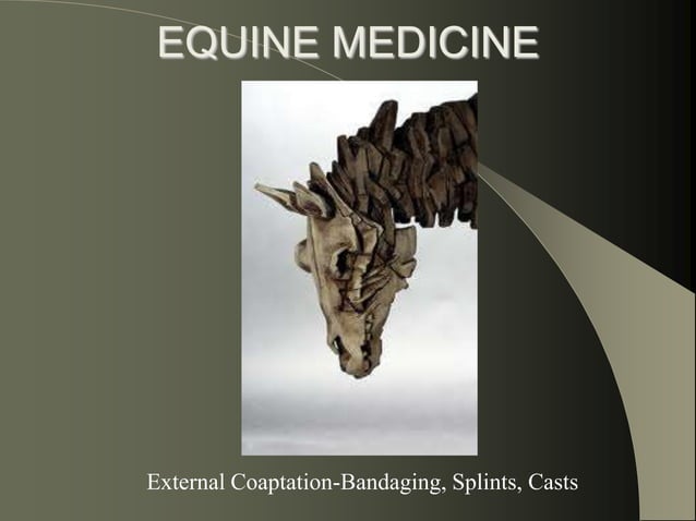 External Coaptation | PPT