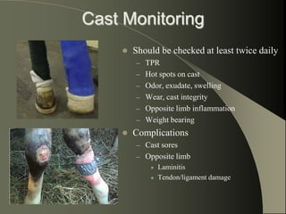 External Coaptation | PPSX