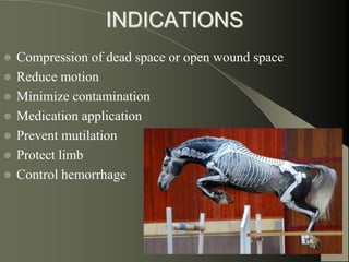 External Coaptation | PPSX