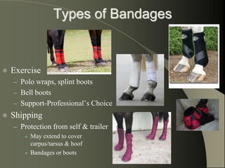 External Coaptation | PPSX