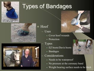 External Coaptation | PPSX