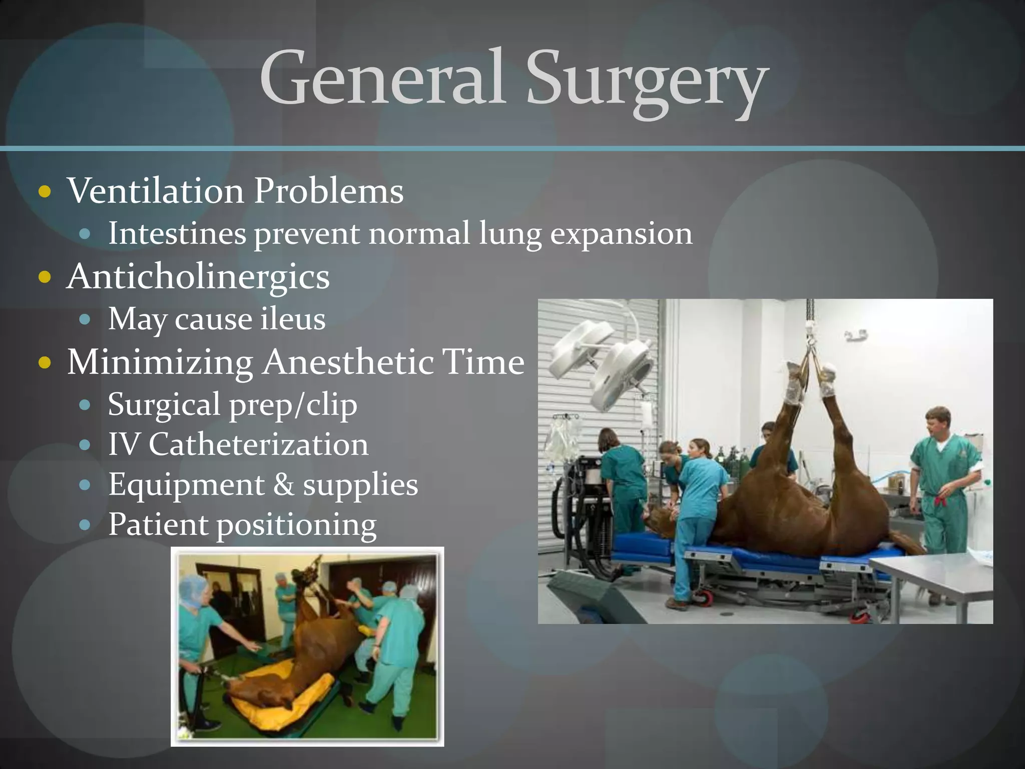 Surgical Preparation & Anesthesia | PPSX