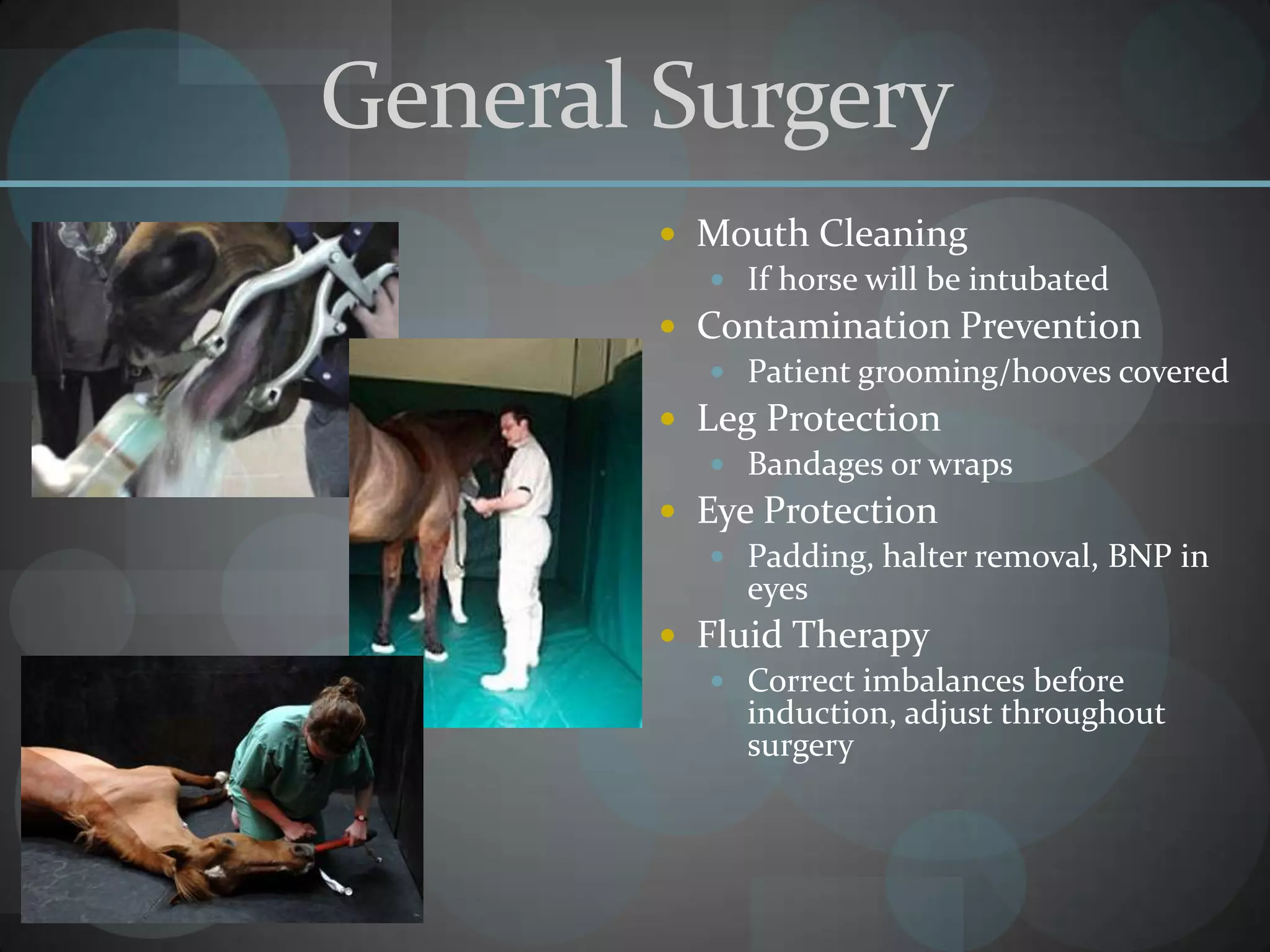 Surgical Preparation & Anesthesia | PPSX