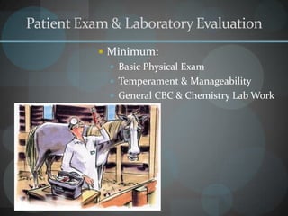 Surgical Preparation & Anesthesia | PPSX