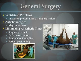 Surgical Preparation & Anesthesia | PPSX
