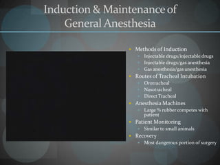 Surgical Preparation & Anesthesia | PPSX