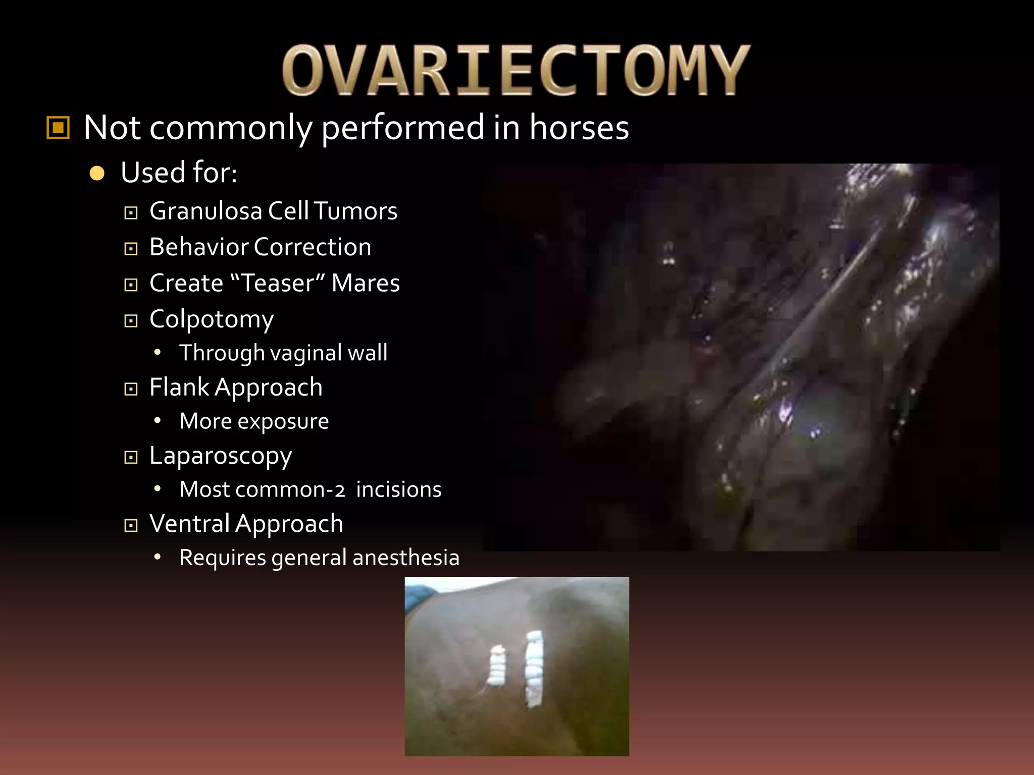 Common Surgical Procedures | PPSX