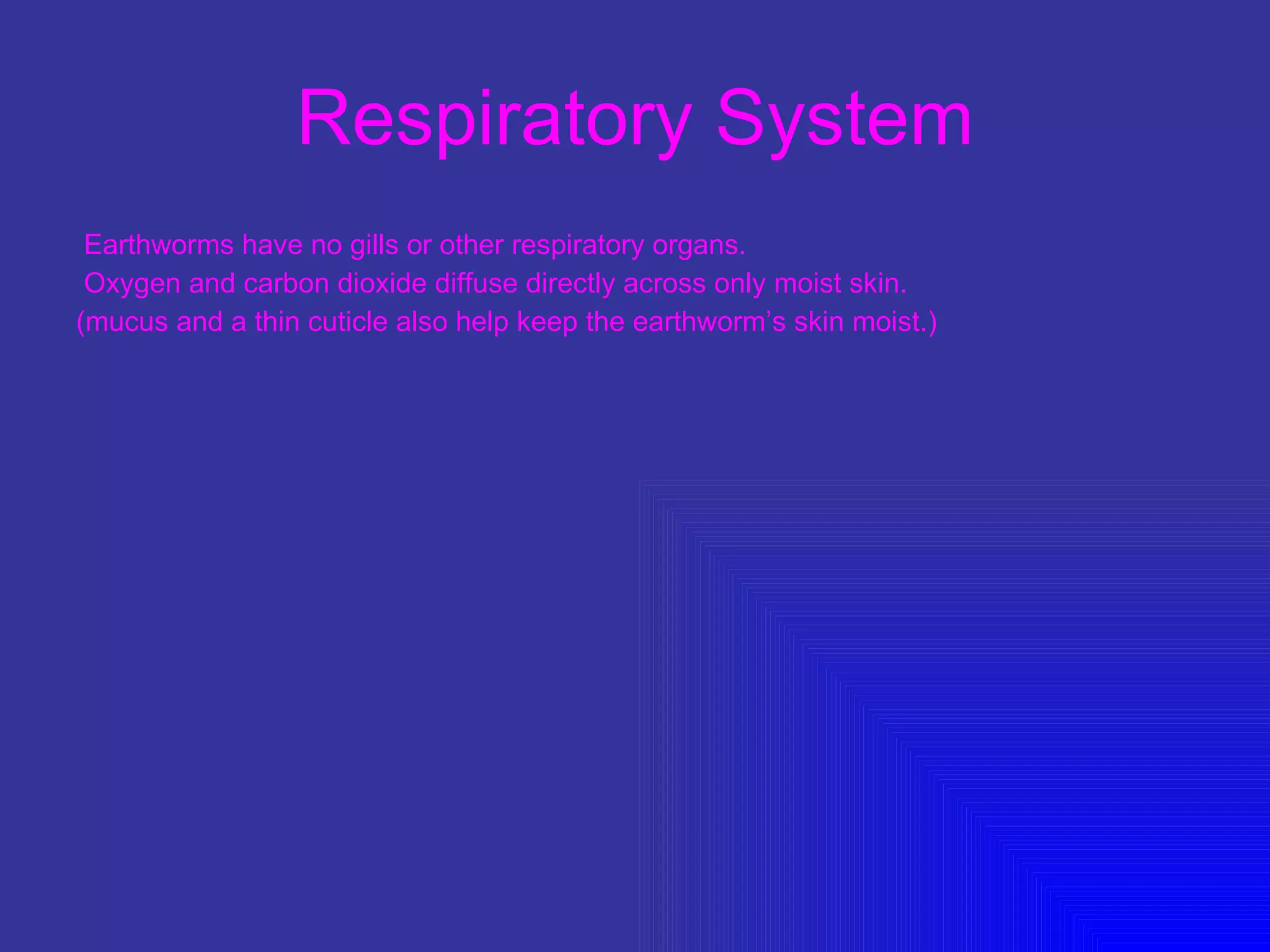 Platyhelminthes | PPT