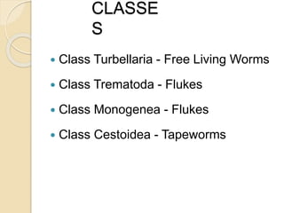 Platyhelminthes | PPTX