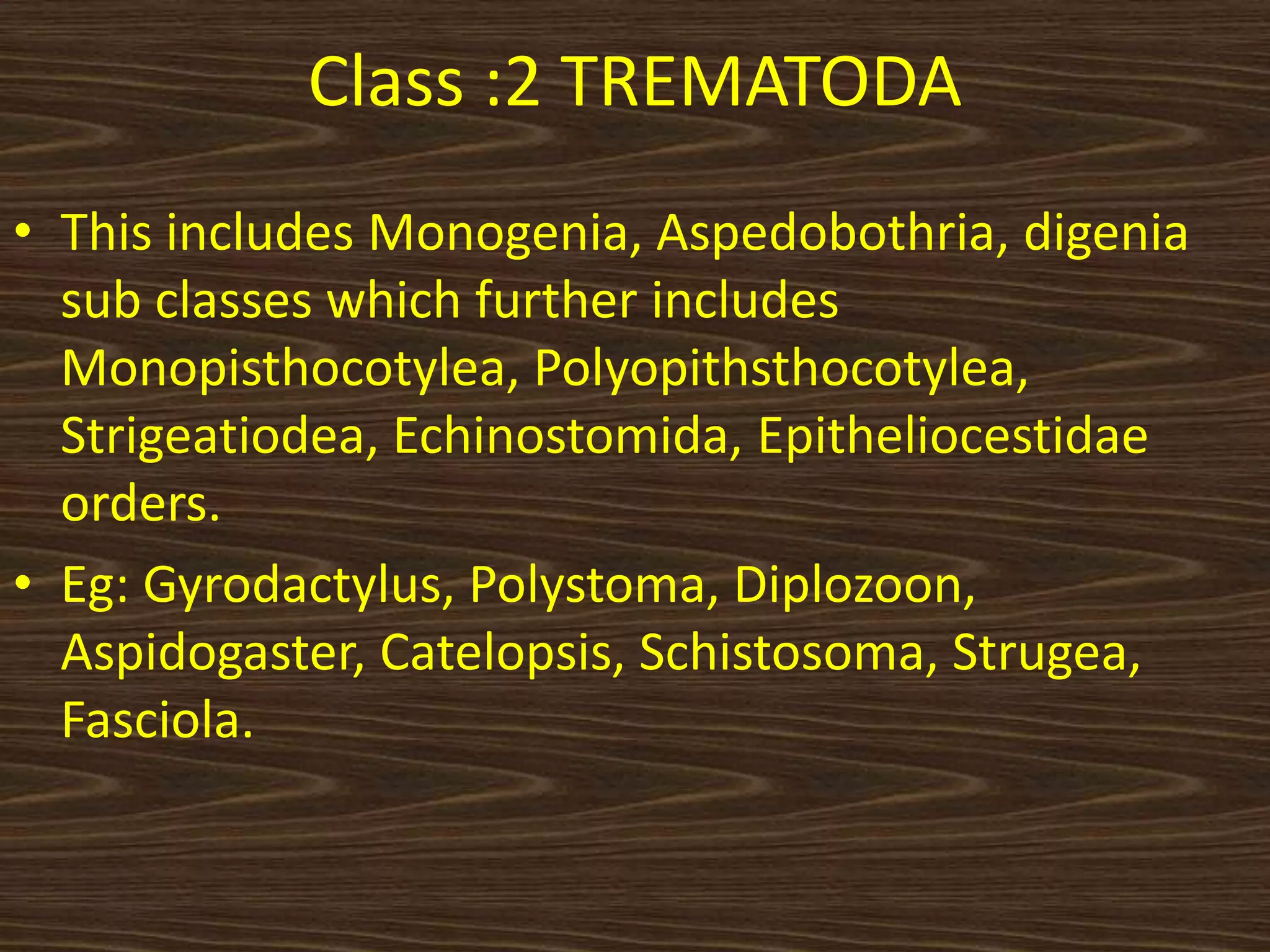 Platyhelminthes | PPTX