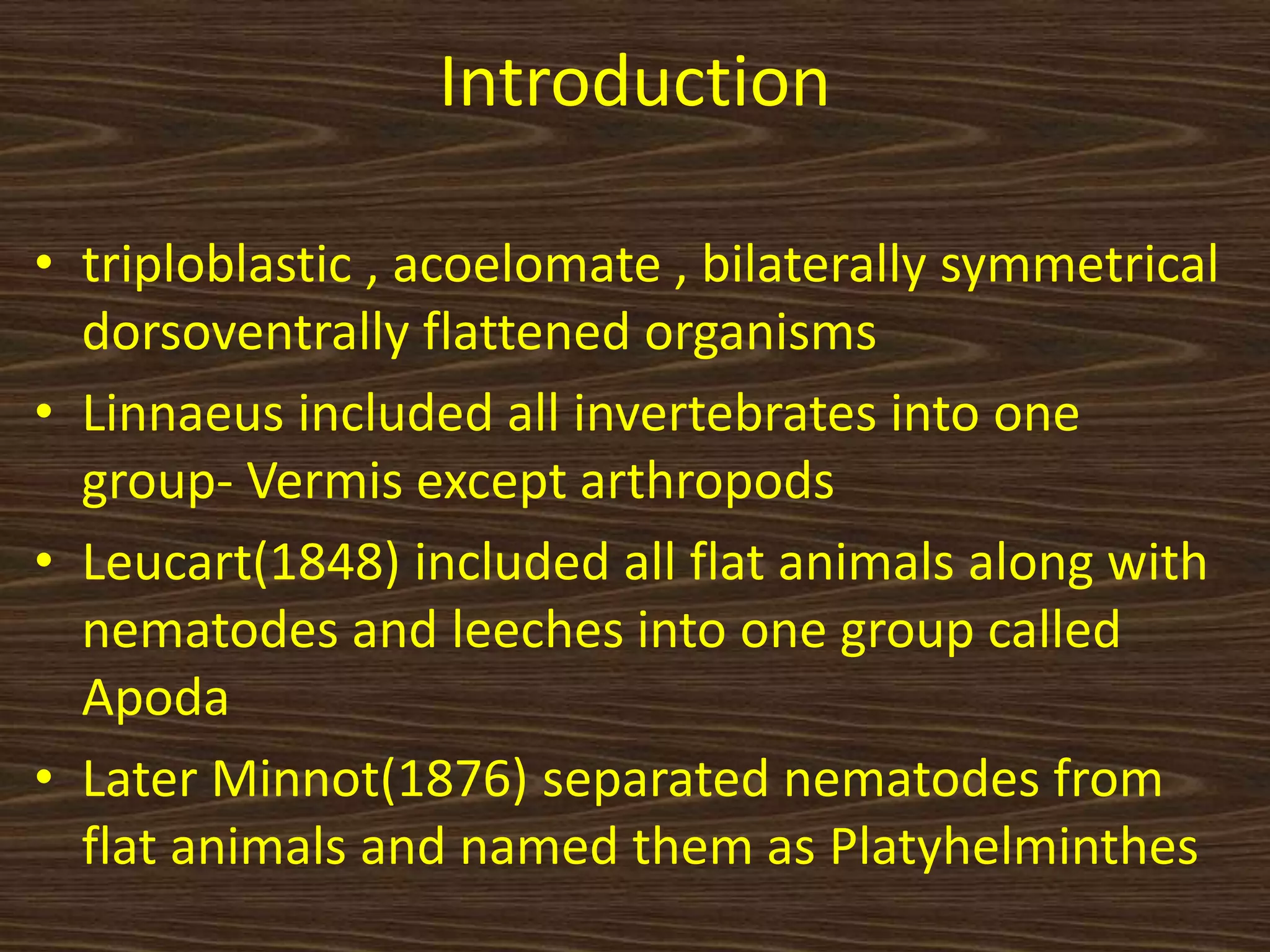 Platyhelminthes | PPTX