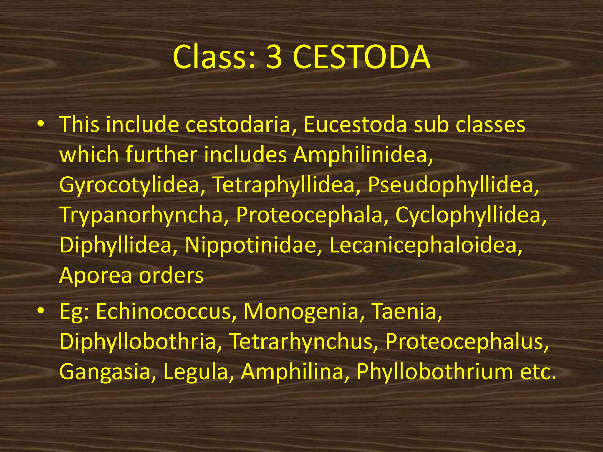 Platyhelminthes | PPTX