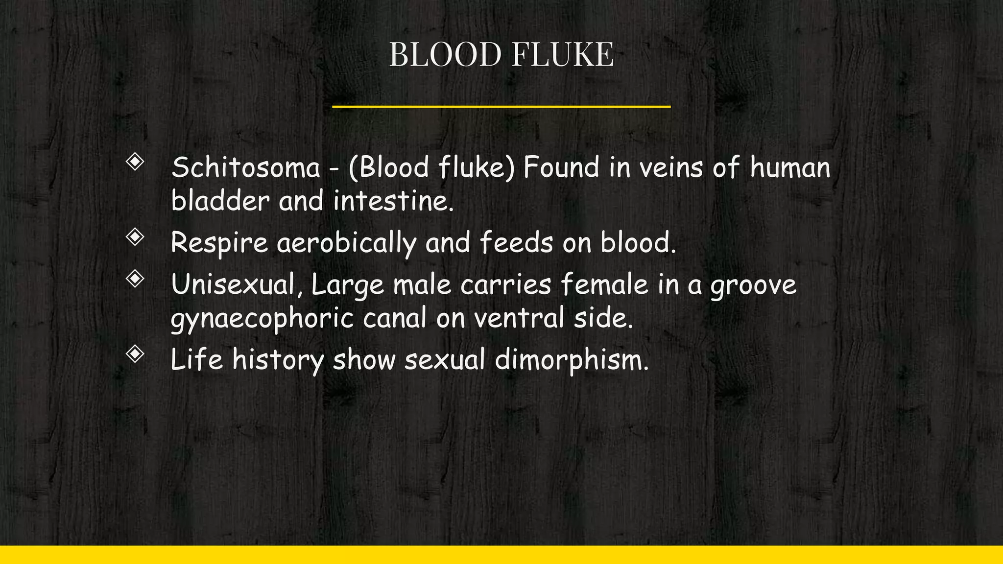 Platyhelminthes organisms | PPTX