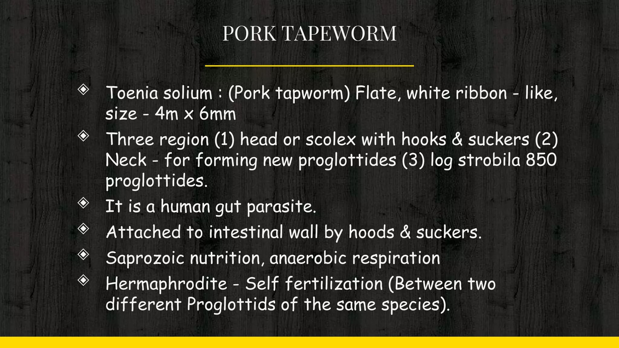Platyhelminthes organisms | PPTX