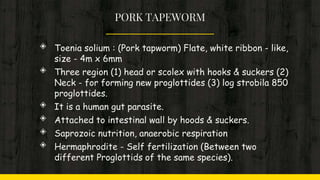 Platyhelminthes organisms | PPTX