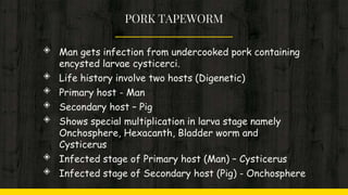 Platyhelminthes organisms | PPTX