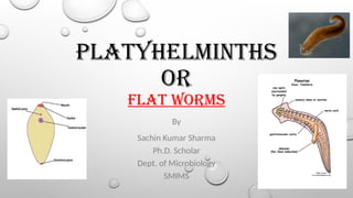 Platyhelminths- classification, morphology, life cycle and pathogenesis ...