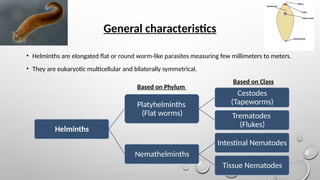 Platyhelminths- classification, morphology, life cycle and pathogenesis ...